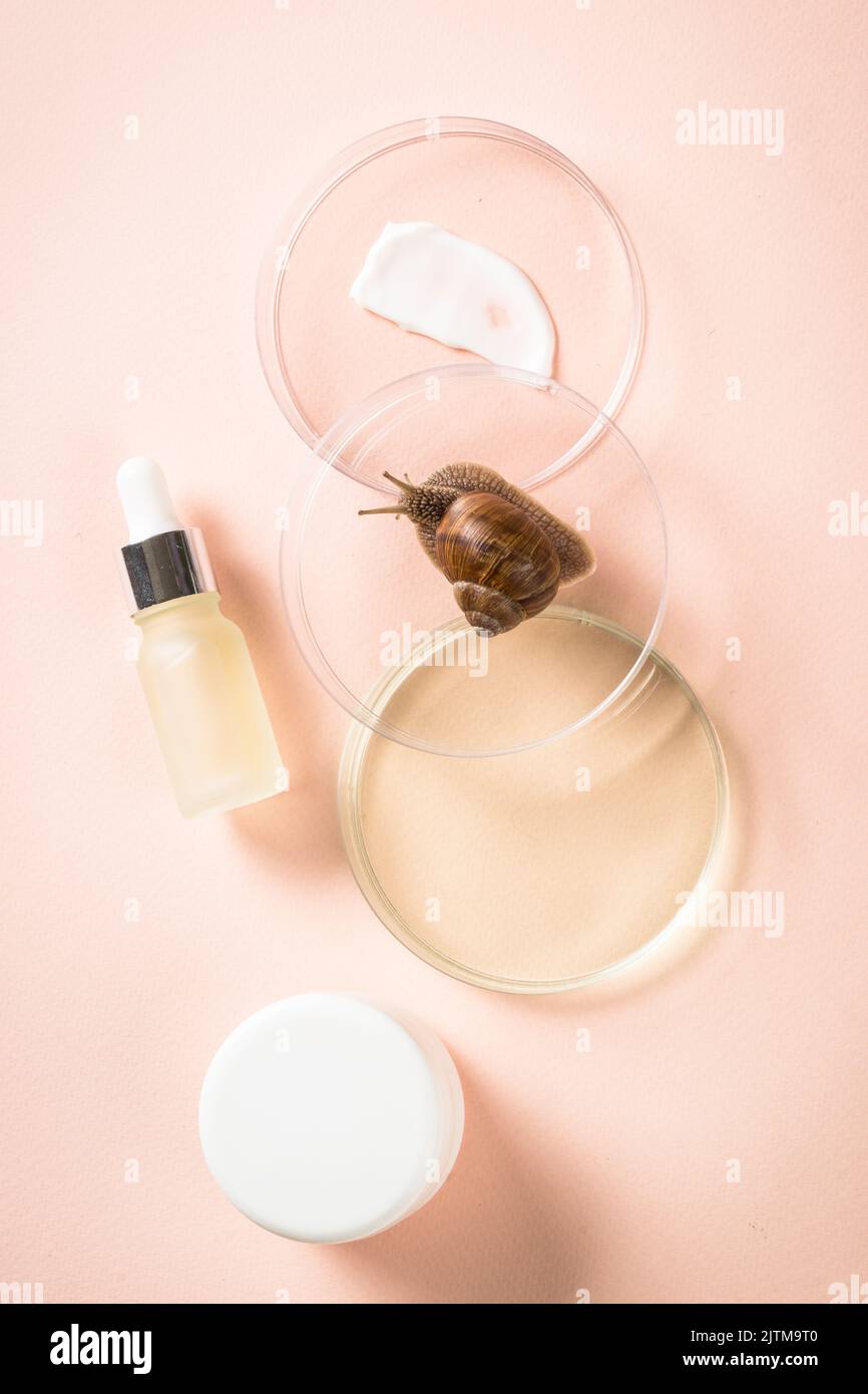 Glass petri dish with cosmetic products and green plants Stock Photo ...