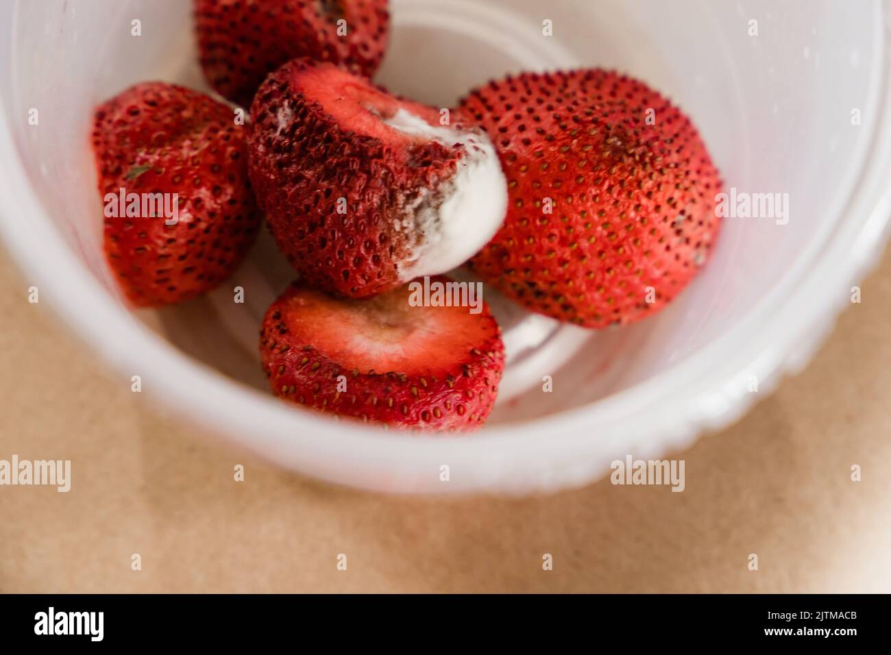 Moldy strawberries in a plastic container Stock Photo - Alamy