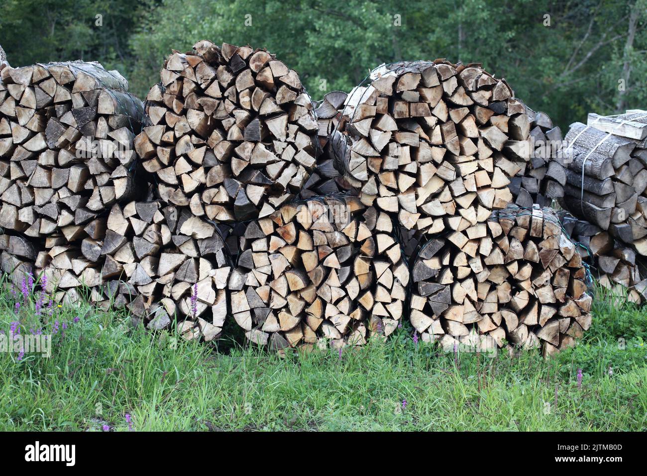 Big dry outdoor stack of firewood Stock Photo - Alamy