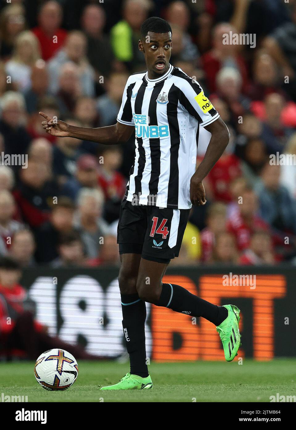 Liverpool, England, 31st August 2022. Alexander Isak of Newcastle ...