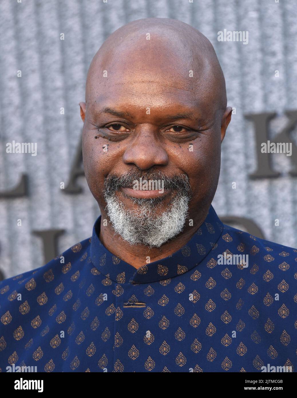 Robert Wisdom arriving to Apple's "Black Bird" series premiere event ...