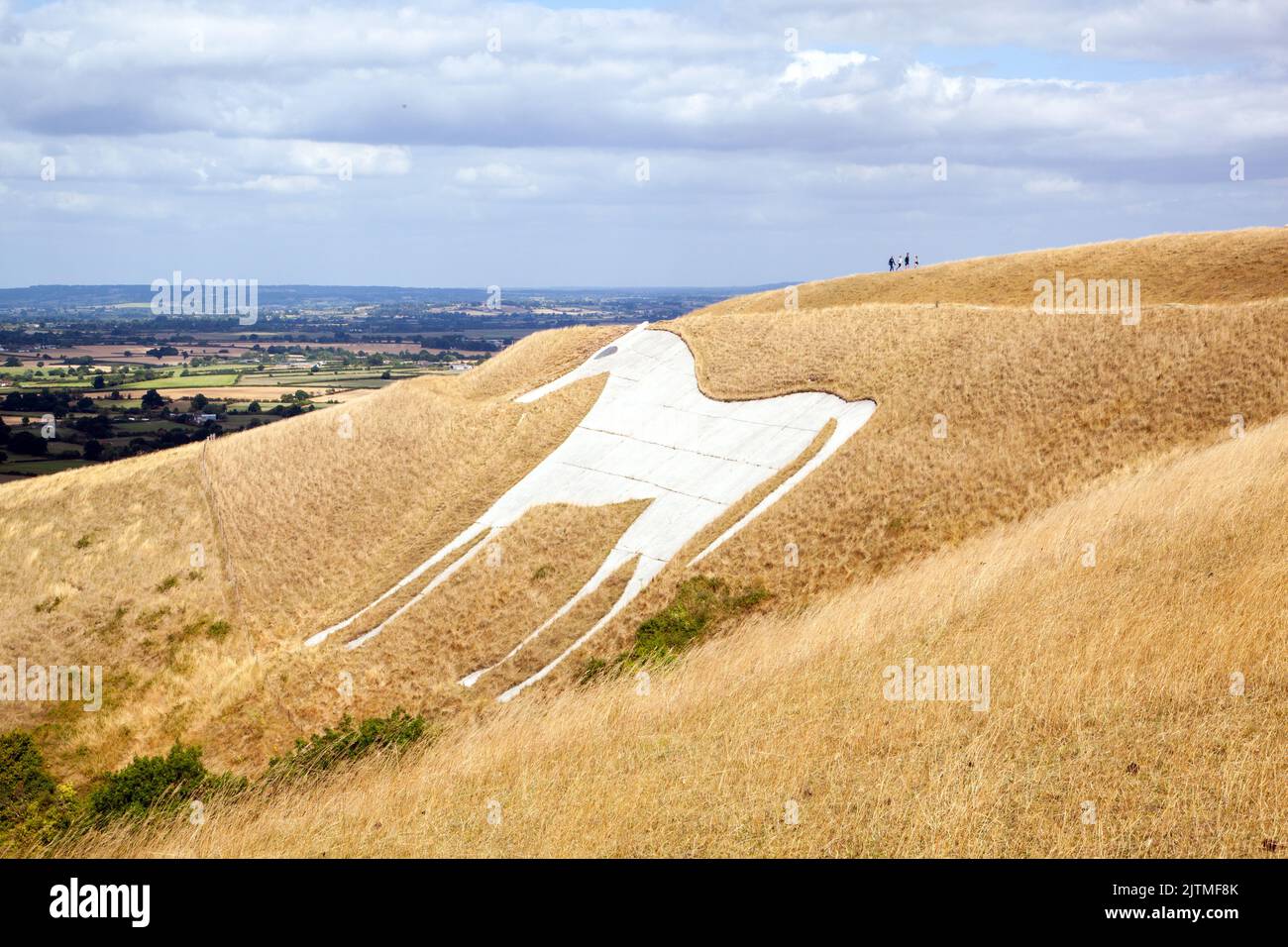 Westbury White Horse on the escarpment of Salisbury Plain it is the ...