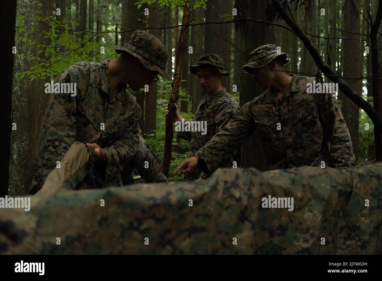 U.S. Marines with 3d Battalion, 3d Marines, build a shelter as a part ...