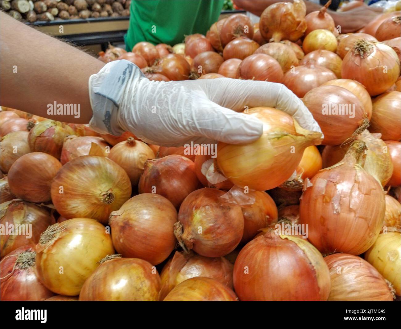 Hand picking onions hi-res stock photography and images - Alamy