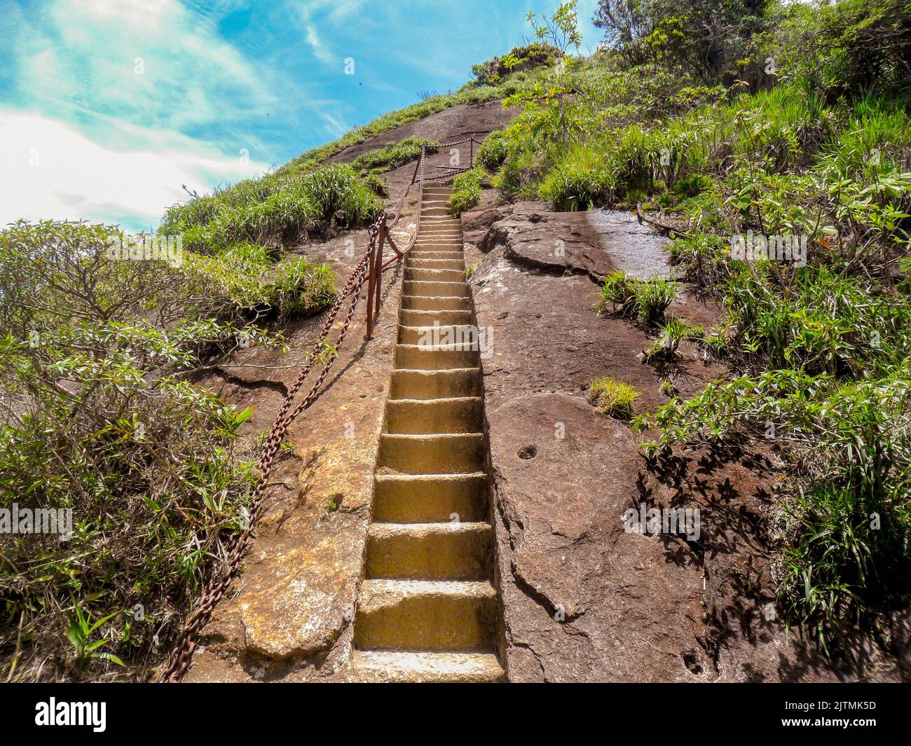 access ladder to Tijuca peak ( Pico da Tijuca ) in Tijuca National park ...