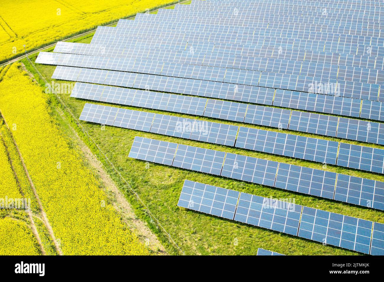 Solar panel for generation of direct current electricity in the yellow ...