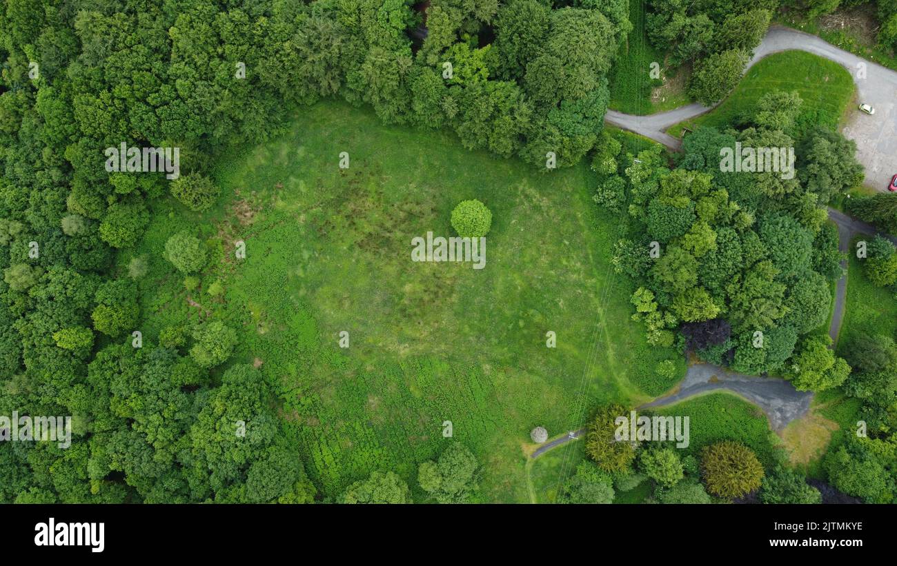 An aerial view of green trees in Ireland Stock Photo - Alamy