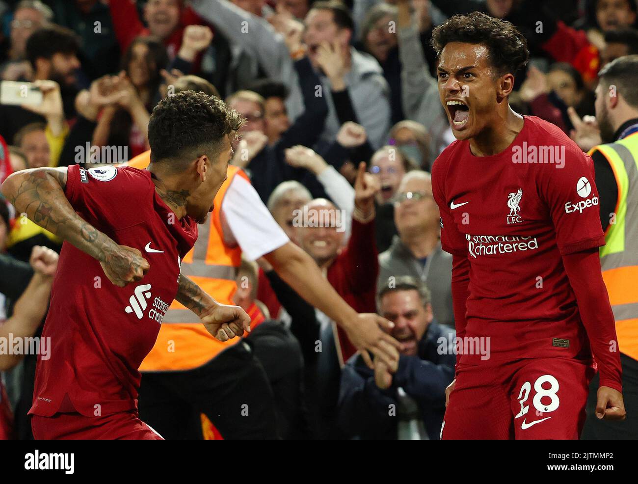 Liverpool, England, 31st August 2022. Fabio Carvalho of Liverpool ...