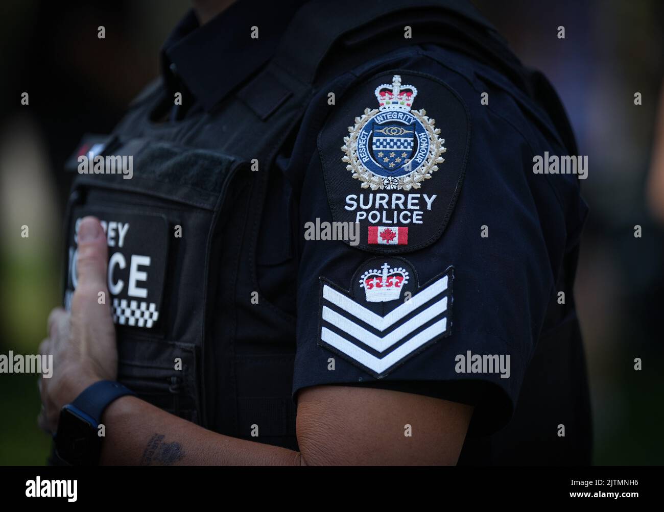 Surrey police logo hi-res stock photography and images - Alamy