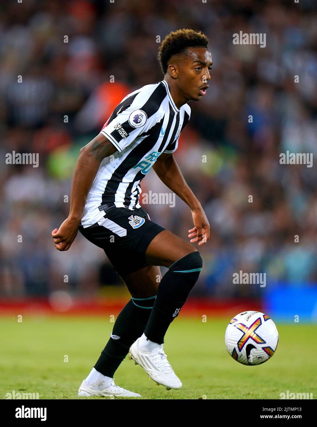 Newcastle United's Joe Willock during the Premier League match at ...