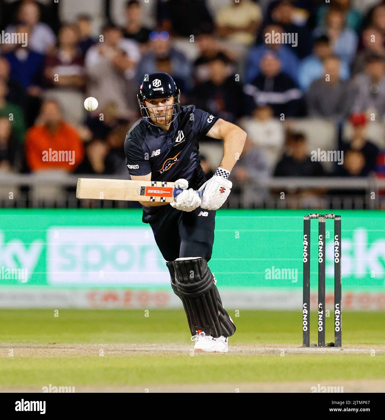 Phil salt cricket action hi-res stock photography and images - Alamy