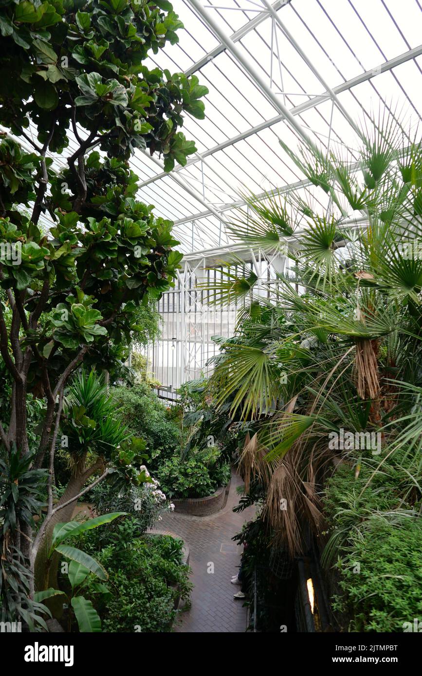 The Conservatory was designed by the Barbican’s architects Chamberlin ...