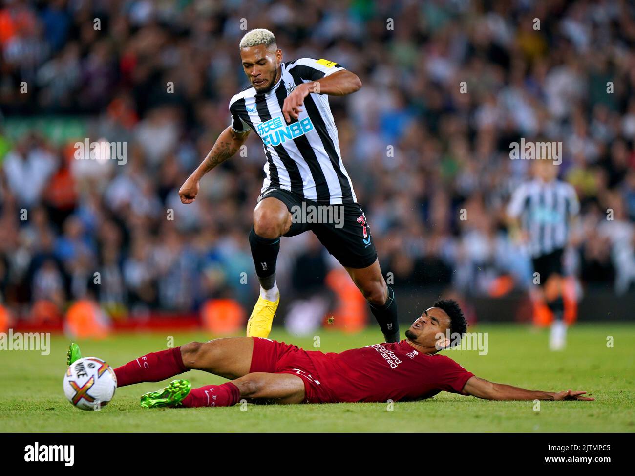 Liverpool's Luis Diaz and Newcastle United's Joelinton battle for the ...