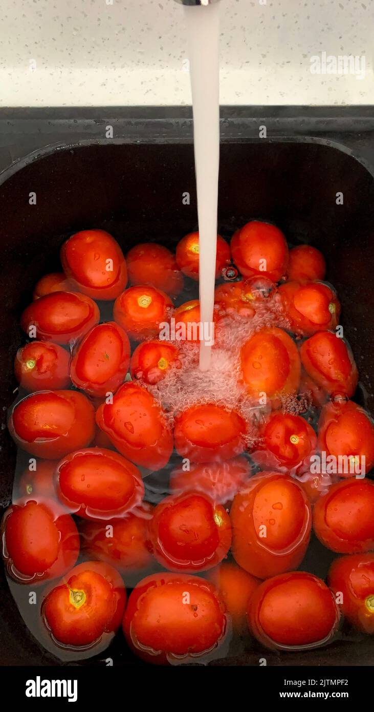 Preparing winter tomatoes. Washing tomatoes Stock Photo - Alamy