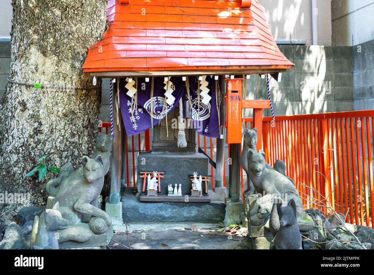 Japanese Spirit Photography