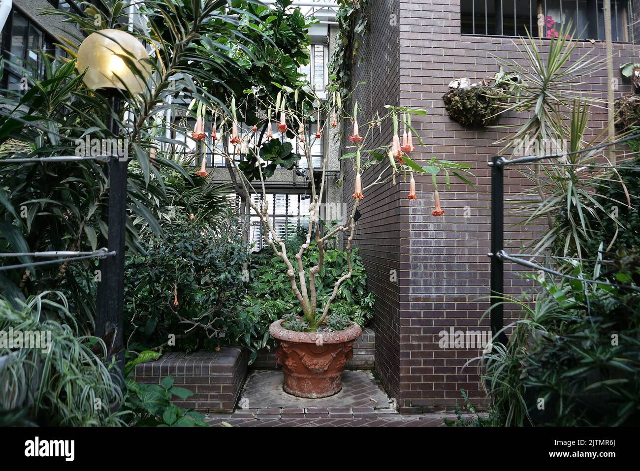 The Conservatory was designed by the Barbican’s architects Chamberlin ...