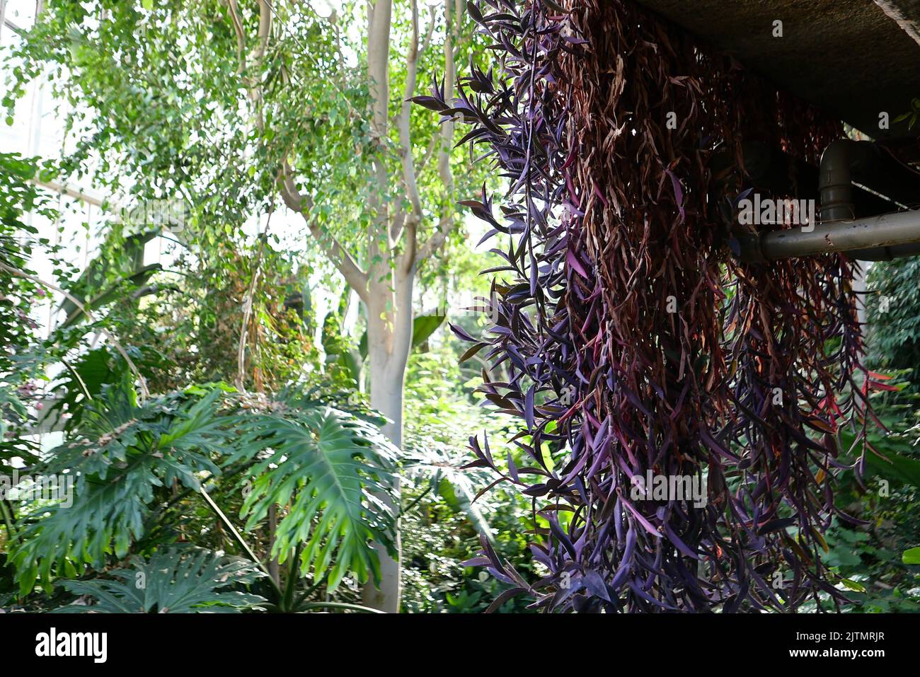 The Conservatory was designed by the Barbican’s architects Chamberlin ...