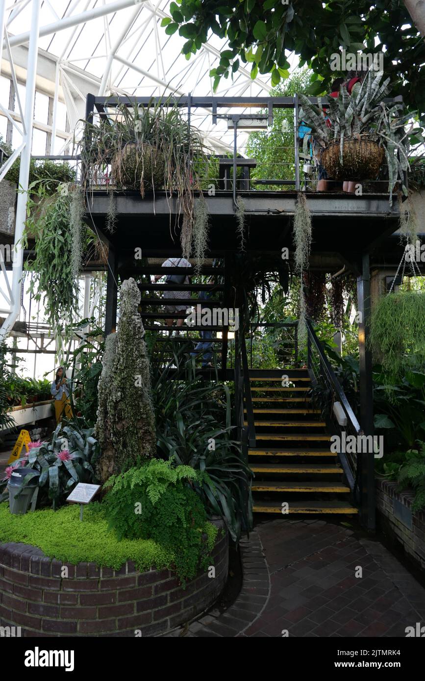 The Conservatory was designed by the Barbican’s architects Chamberlin ...