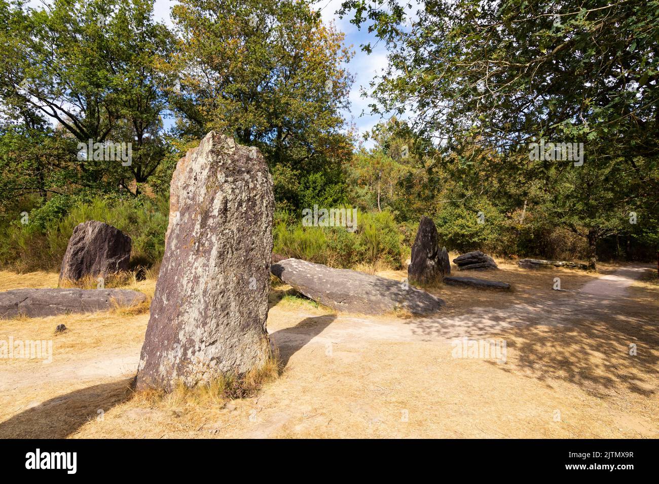 Neolithic menhirs at in evening light, Monteneuf, Brittany, France ...