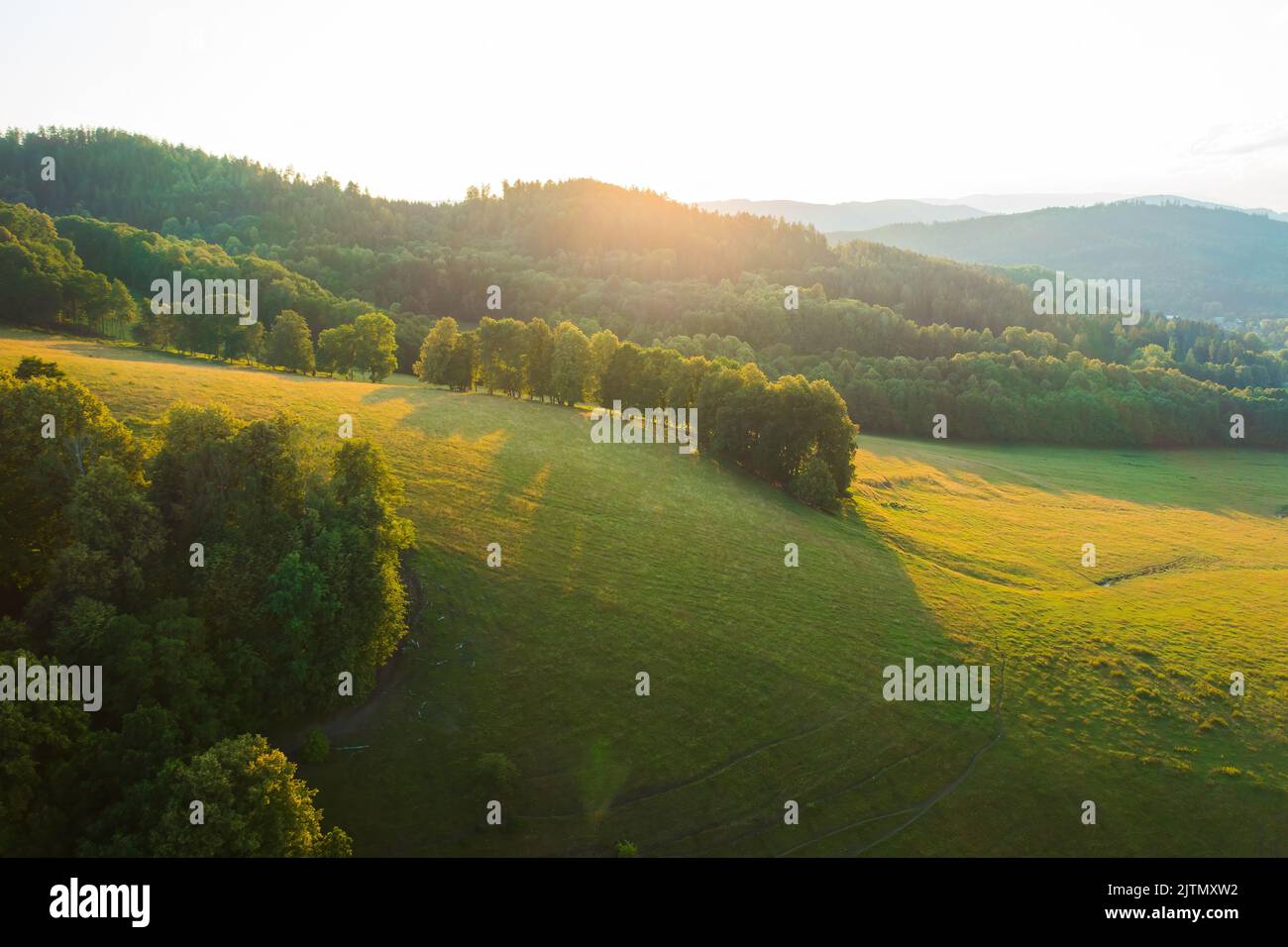Bright sunset light breaks through treetops in highland with dense ...