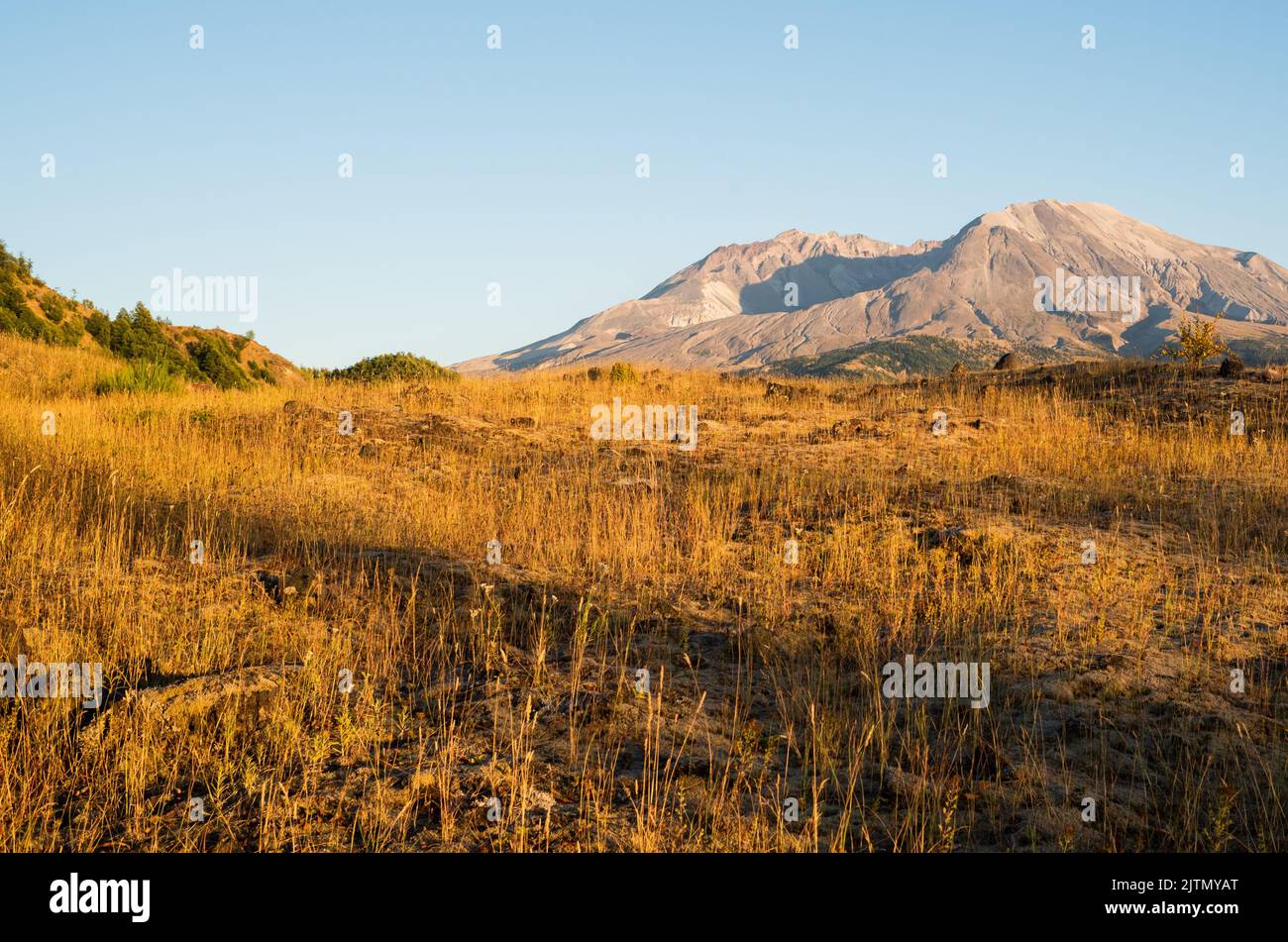 Beautiful Clear Summer Golden Hour Landscape of Mount St. Helens ...