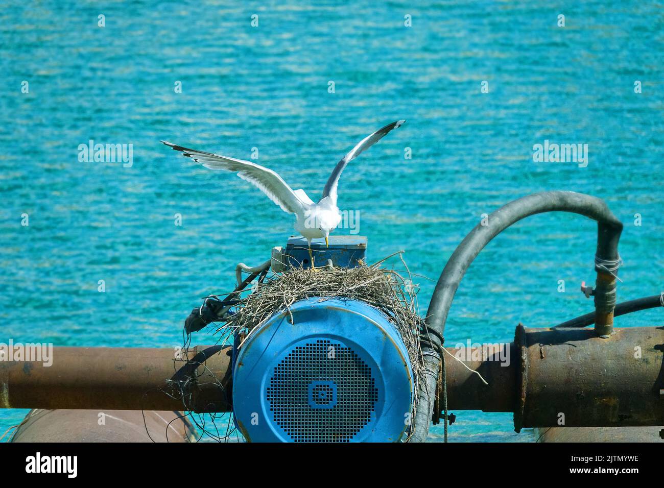 Flooded hatch hi-res stock photography and images - Alamy