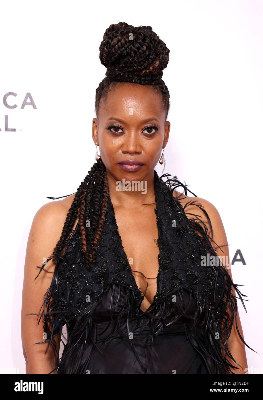 Erika Alexander Braids