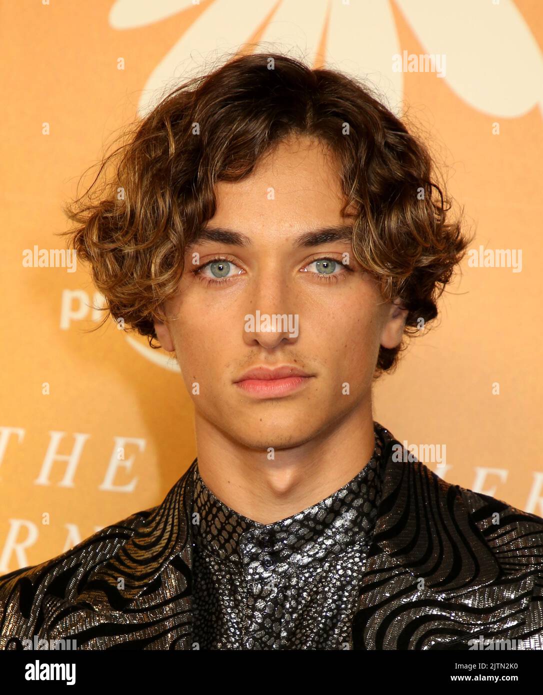 Gavin Casalegno Gavin Casalegno About Entertainment.ie