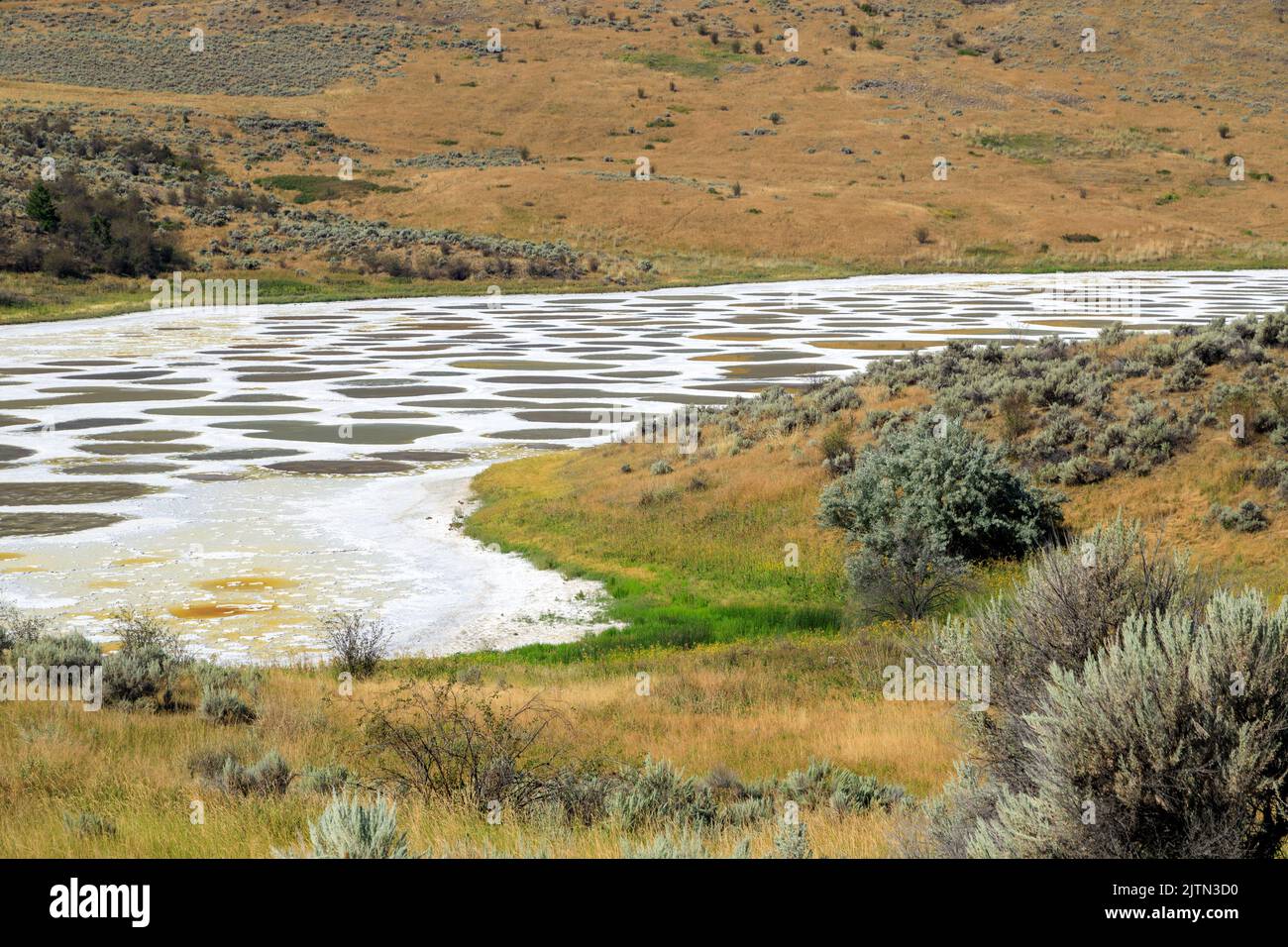 Spotted Lake is a saline endorheic alkali lake located northwest of ...