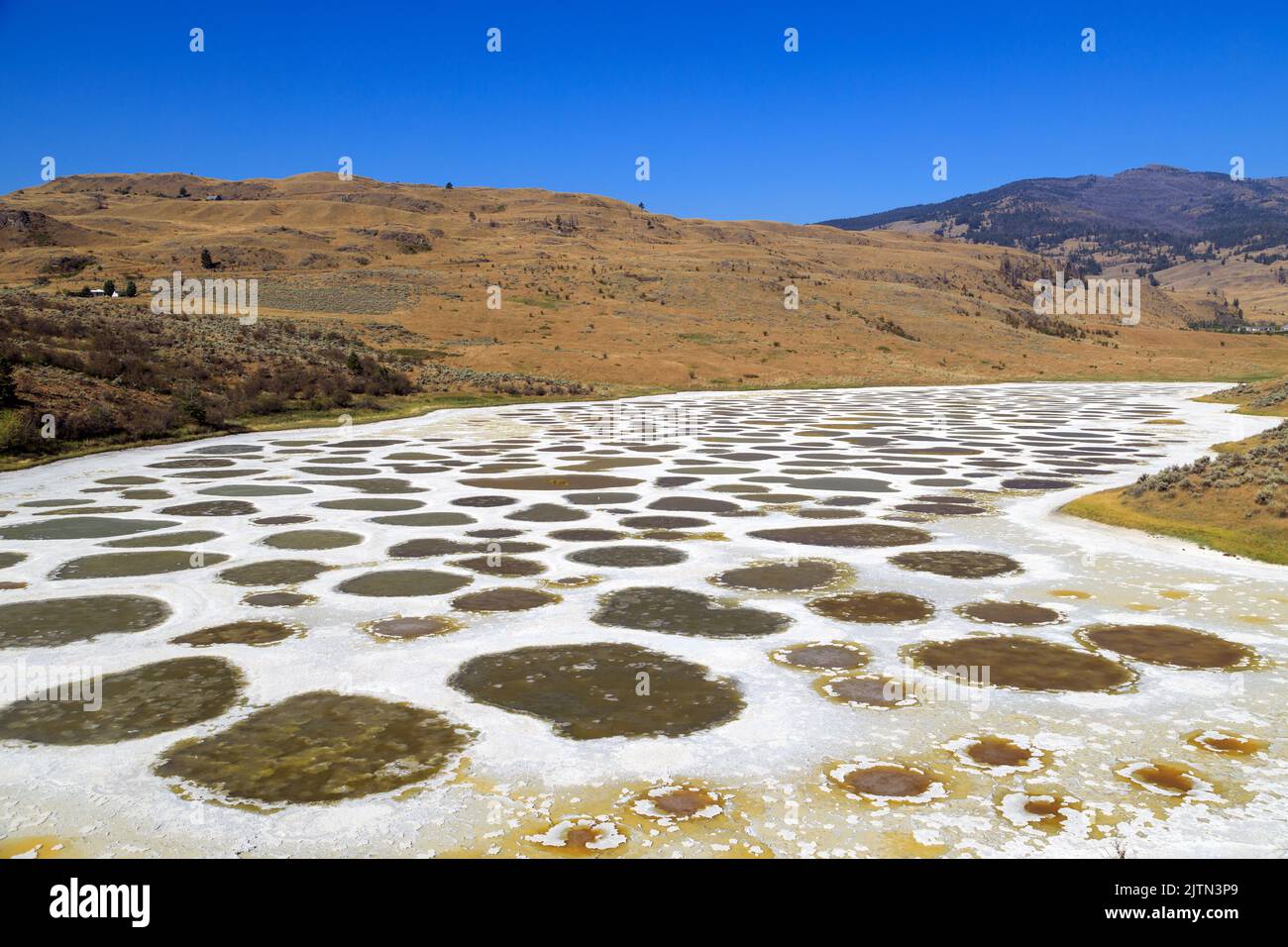 Spotted Lake is a saline endorheic alkali lake located northwest of ...