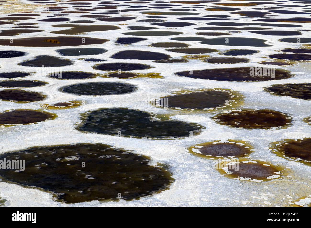 Spotted Lake is a saline endorheic alkali lake located northwest of ...