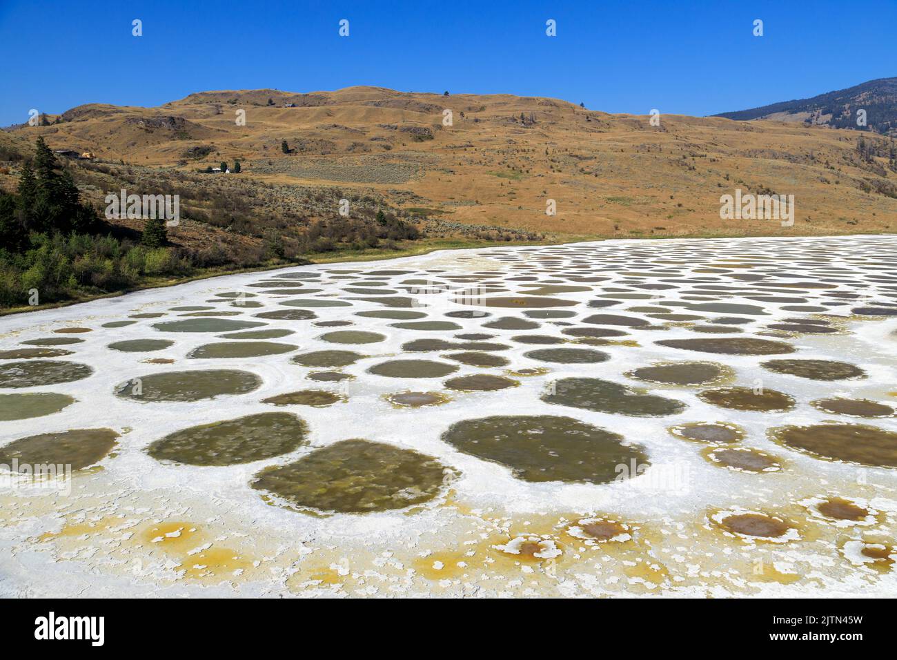 Spotted Lake is a saline endorheic alkali lake located northwest of ...