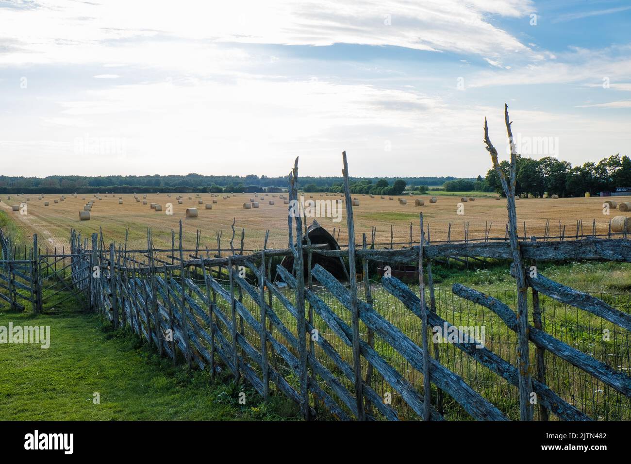 Hay bales in the field during hot summer day. Wooden fence around ...