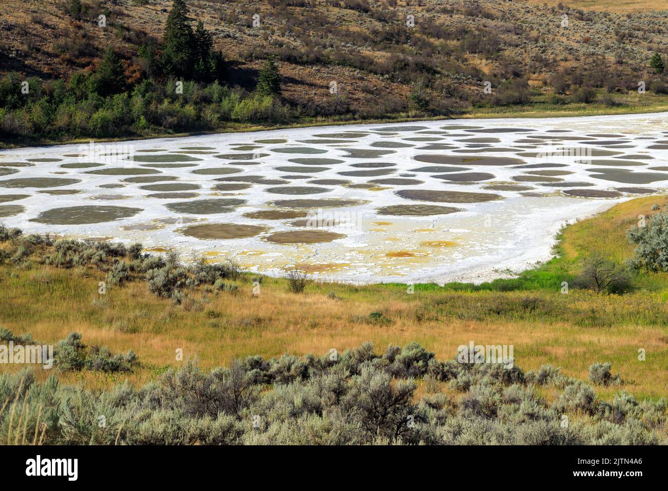 Spotted Lake is a saline endorheic alkali lake located northwest of ...