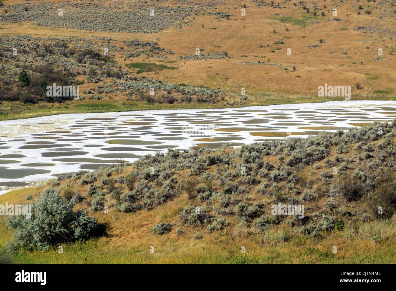 Spotted Lake is a saline endorheic alkali lake located northwest of ...