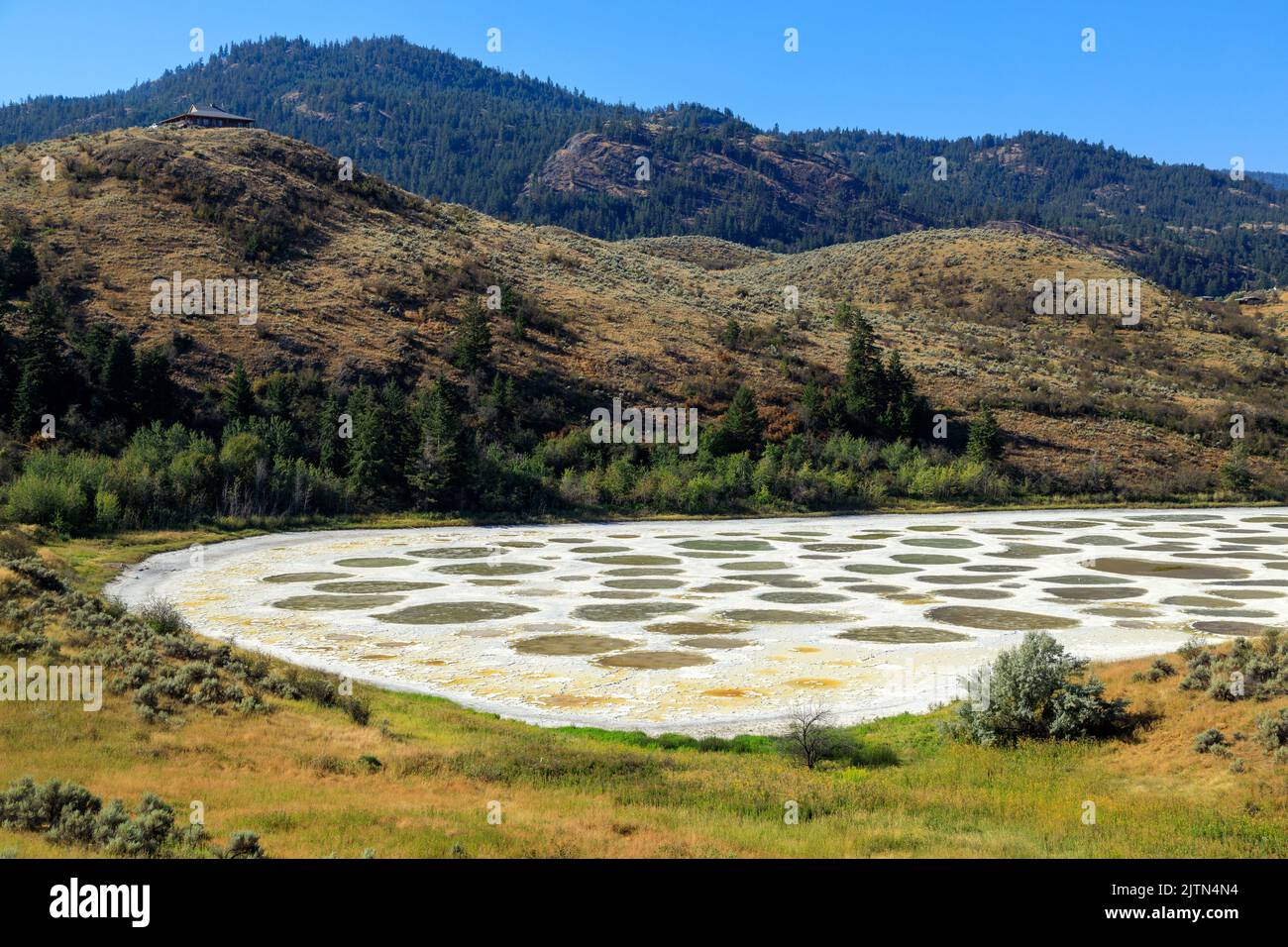 Spotted Lake is a saline endorheic alkali lake located northwest of ...