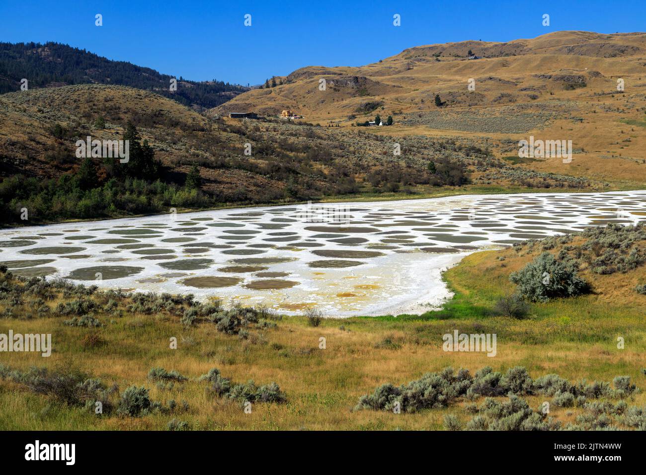 Spotted Lake is a saline endorheic alkali lake located northwest of ...