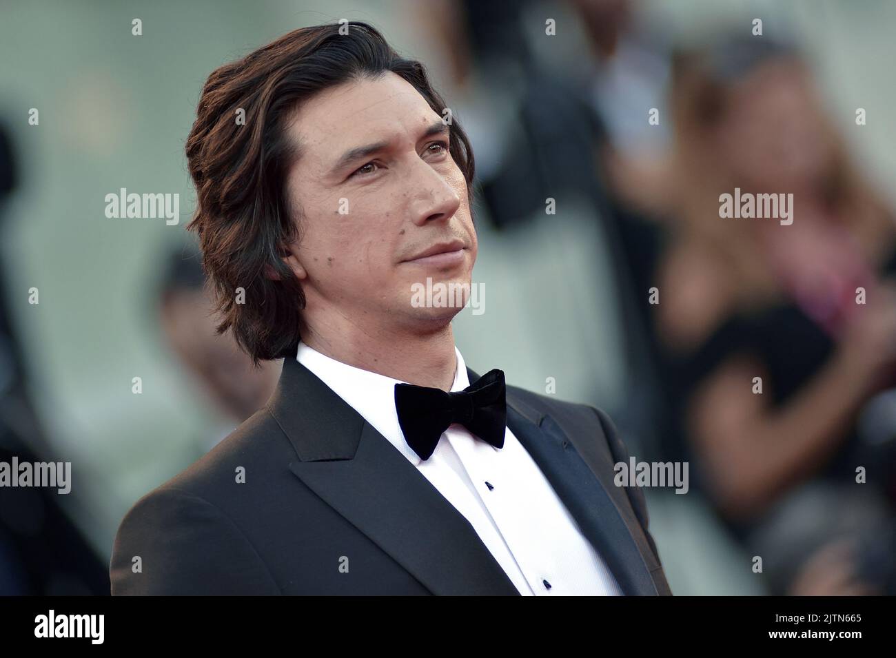 Venezia, Italy. 31st Aug, 2022. Adam Driver attends the opening ...