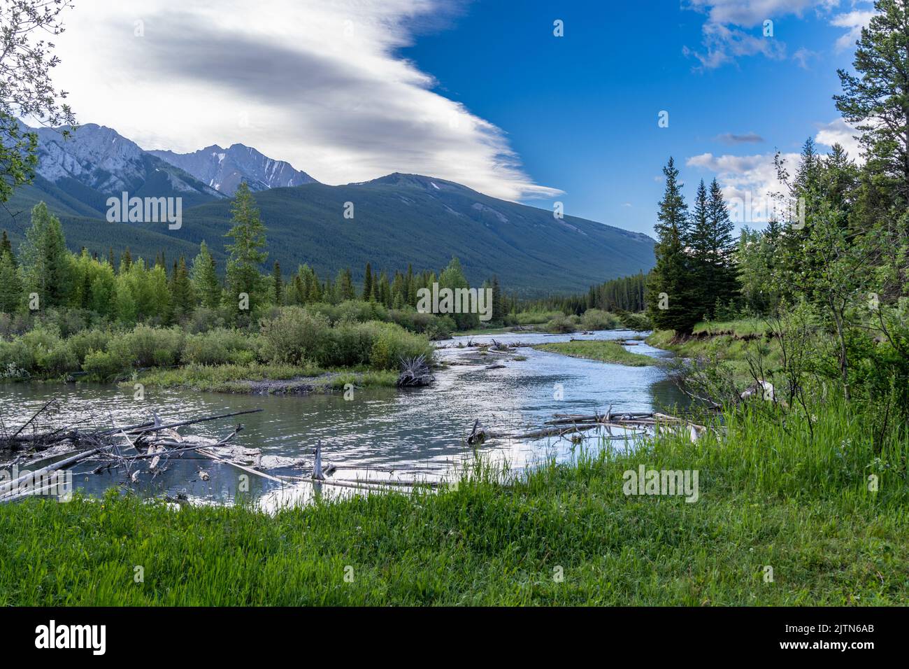 Marmot Creek along the Troll Falls and Hay Meadows trail in Kananaskis ...
