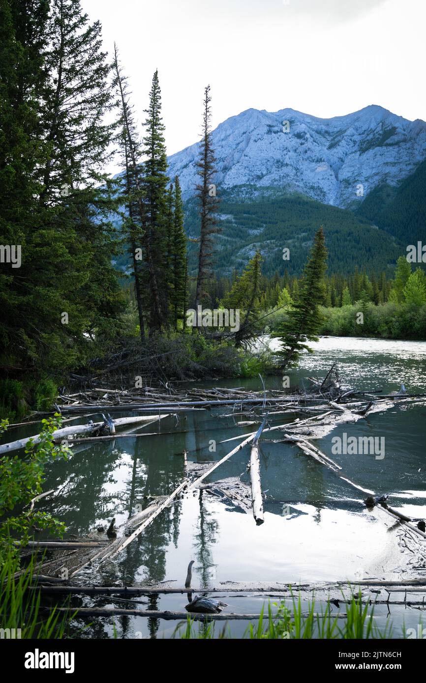Marmot Creek along the Troll Falls and Hay Meadows trail in Kananaskis ...
