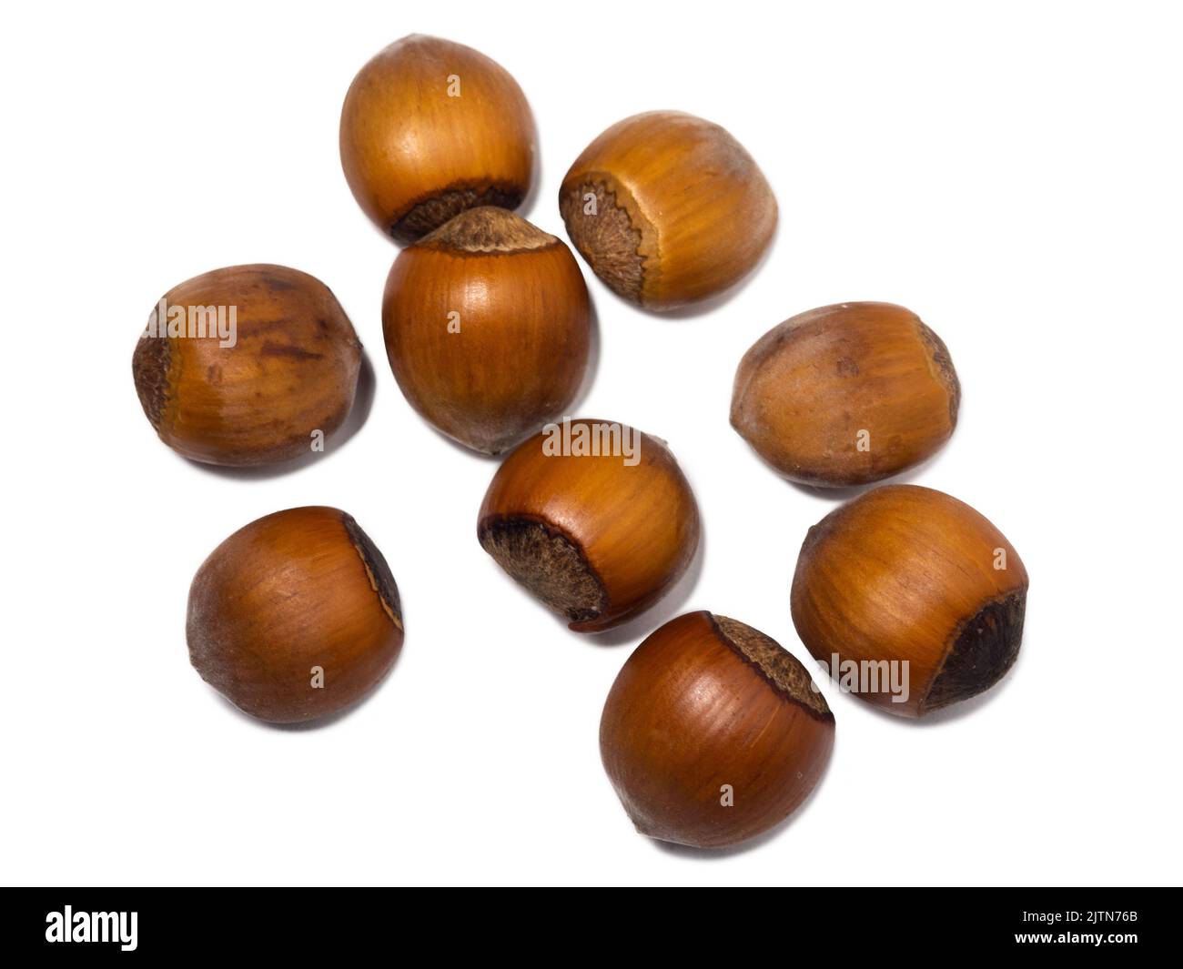 Hazelnuts on a white background. Nuts in a shell. Snack. Healthy diet ...