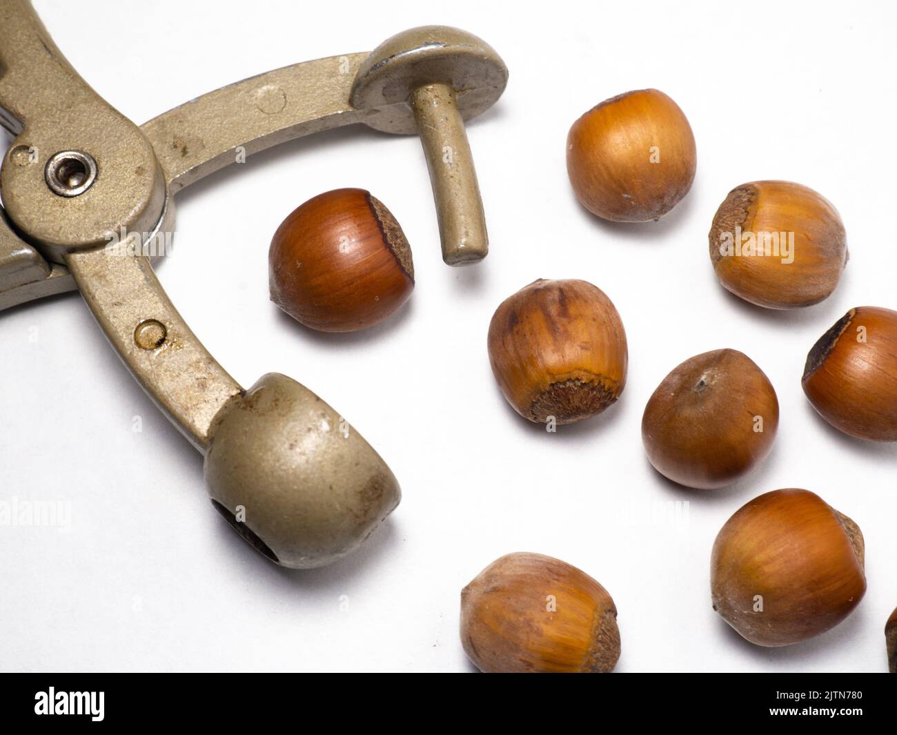 old nut cracker. Hazelnuts on a white background. Nuts in a shell ...