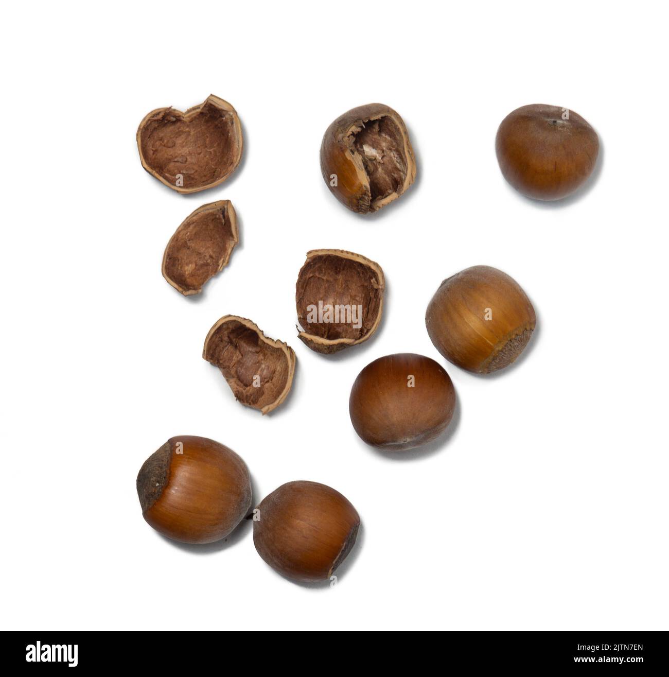 Whole hazelnut. Chopped hazelnuts on a white background. Nuts in a ...