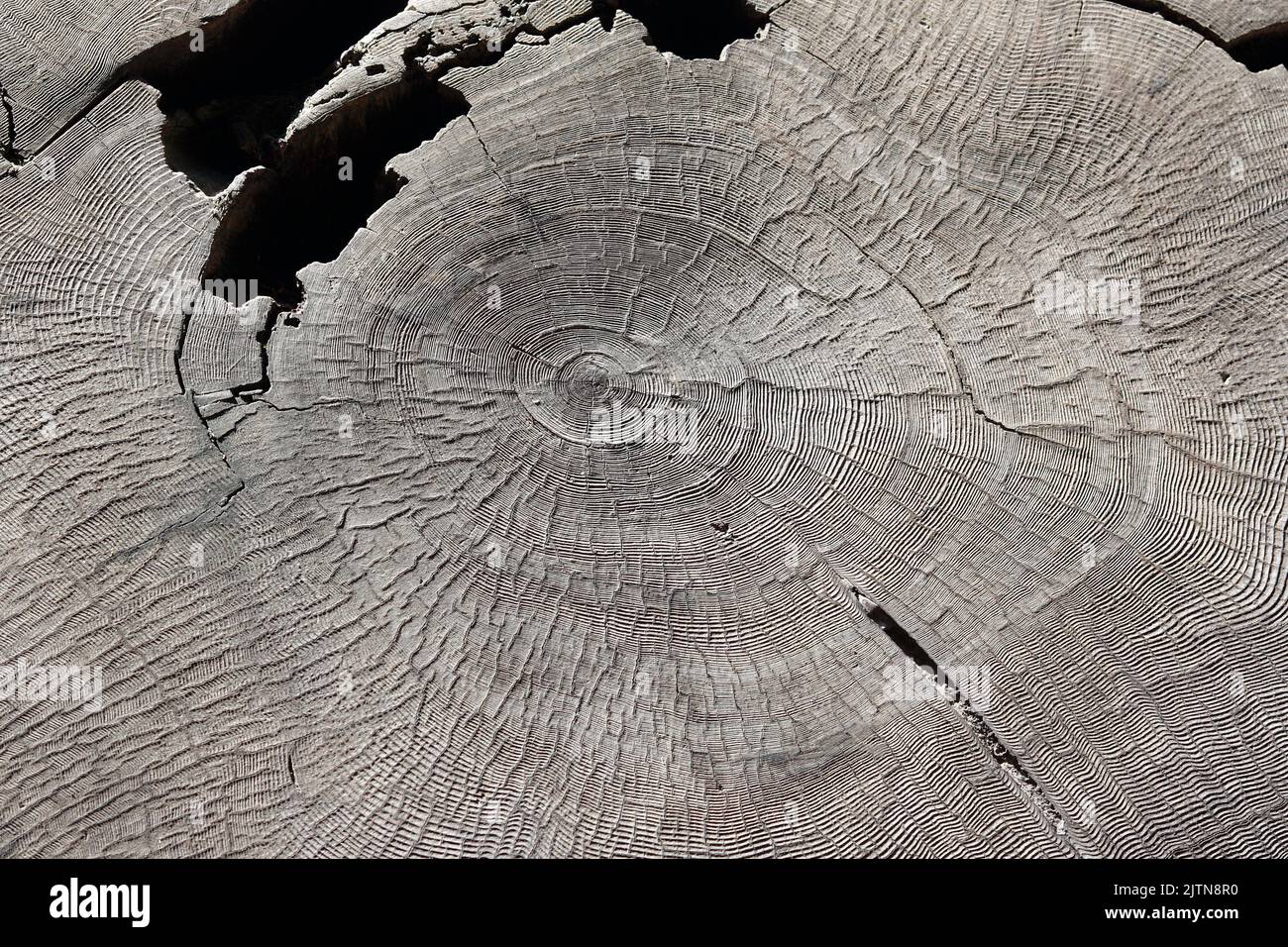 Two thousand year old hi-res stock photography and images - Alamy