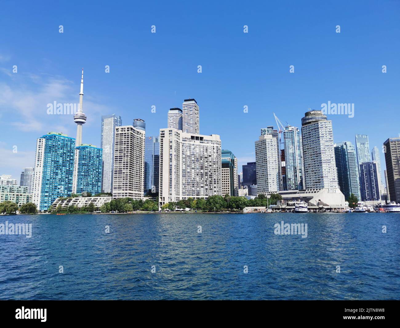 The beautiful skyline of Toronto, Canada under a clear sky Stock Photo ...