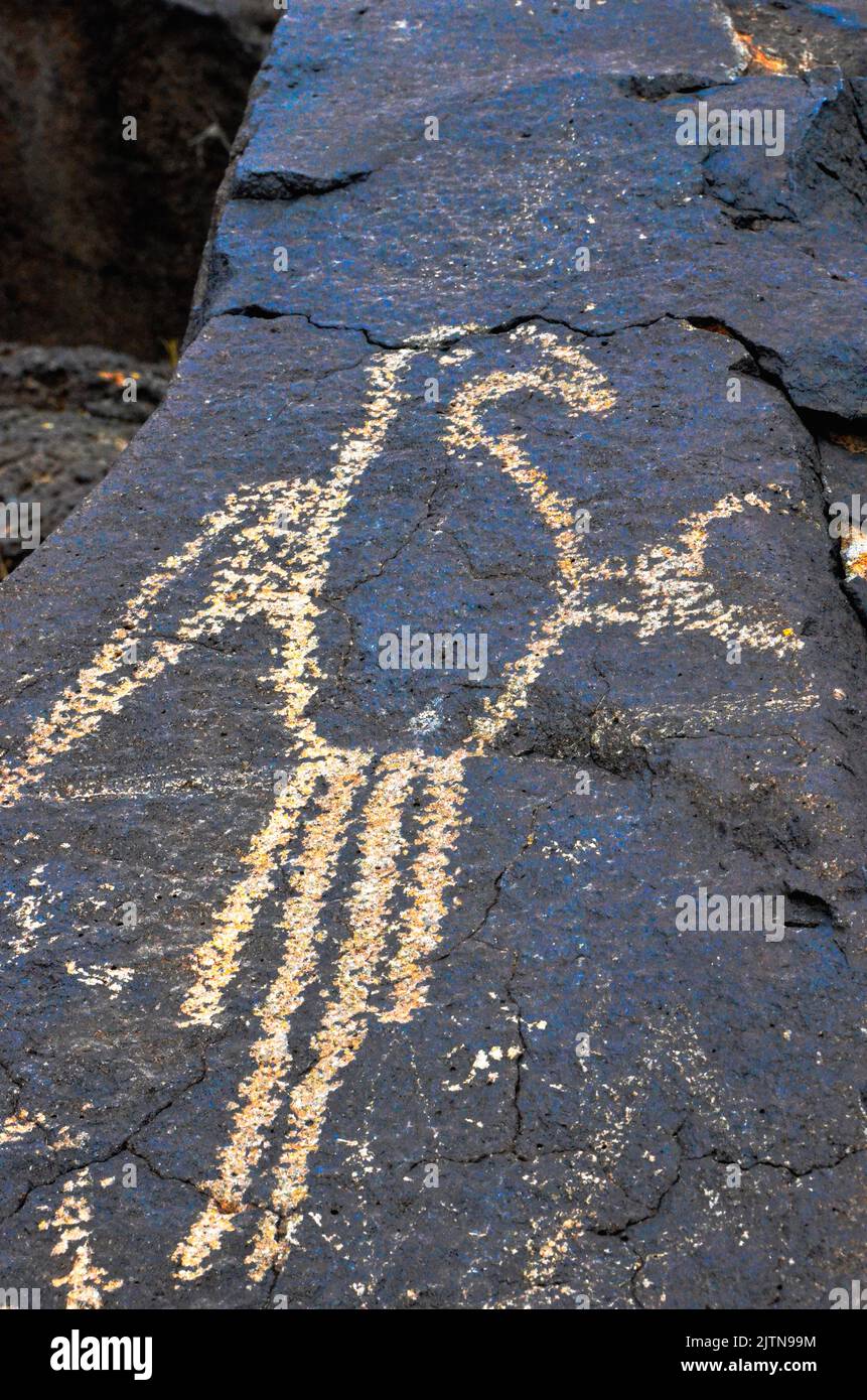 Petroglyph National Monumnet is located close to Albuquerque, New ...