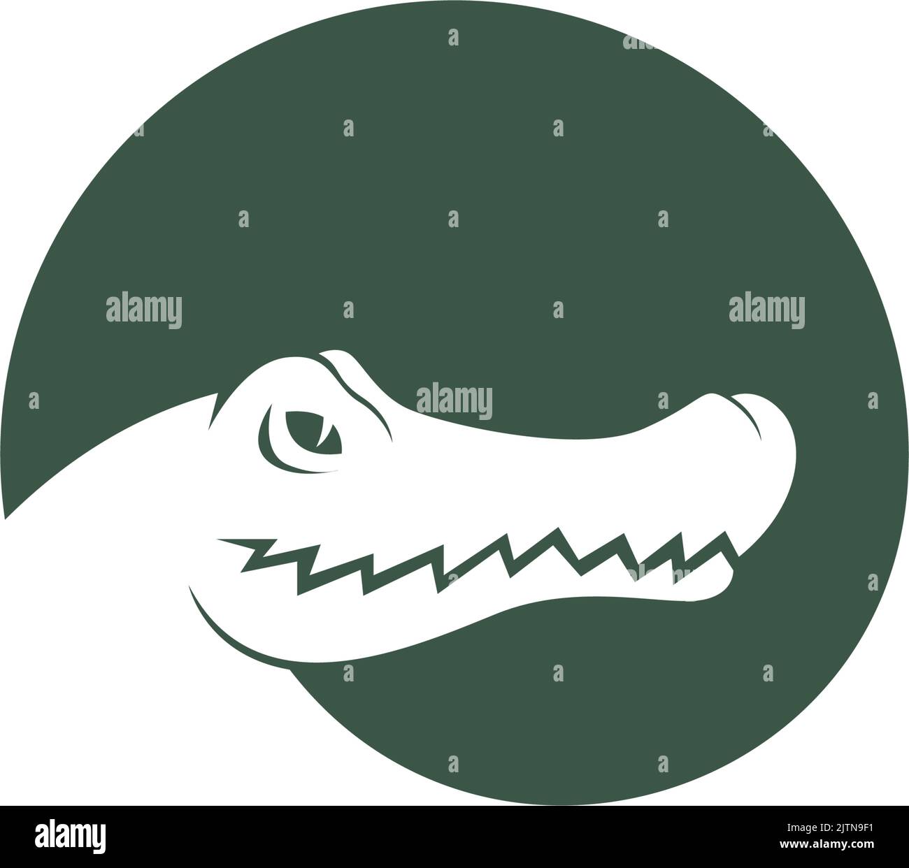 Crocodile icon logo design illustration template Stock Vector Image ...
