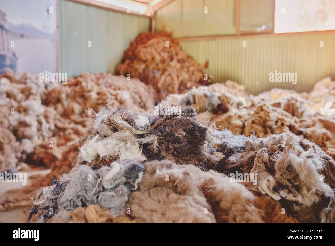 Fibers in an Alpaca Wool Manufacturing Facility. Alpaca Wool Production ...