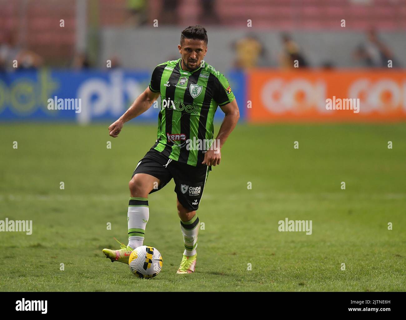 Aloísio Boi Bandido do América-MG, durante a partida entre América-MG e ...