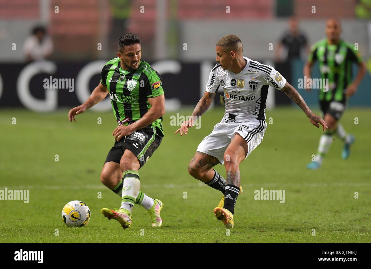 Aloisio boi bandido hi-res stock photography and images - Alamy